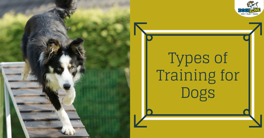 Types of Dog Training - DogiZone