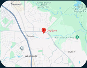 Protection Sport Association